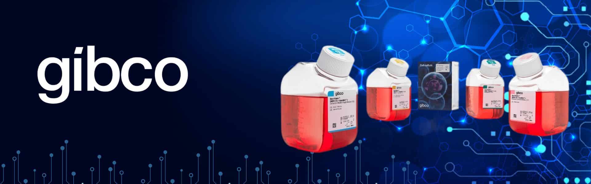 صفحه اصلی 🔍️ راشا زیست