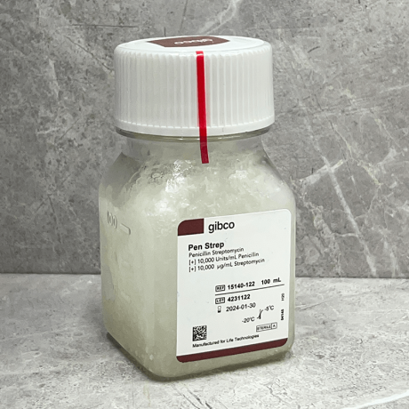 Penicillin-streptomycin (10000 u/ml) 💎 راشا زیست
