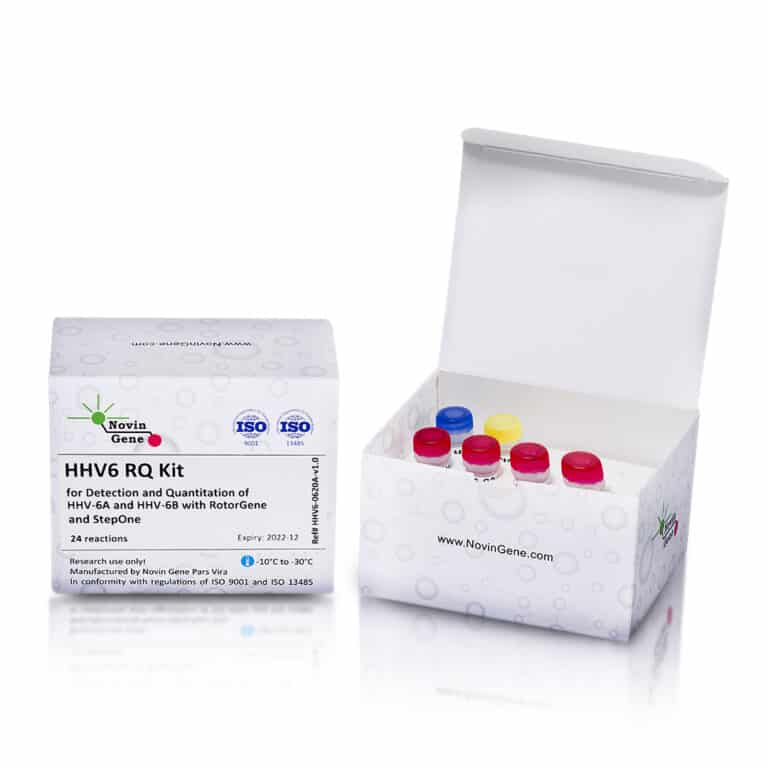 HHV6 Detection and Quantitation kit 💎 راشا زیست