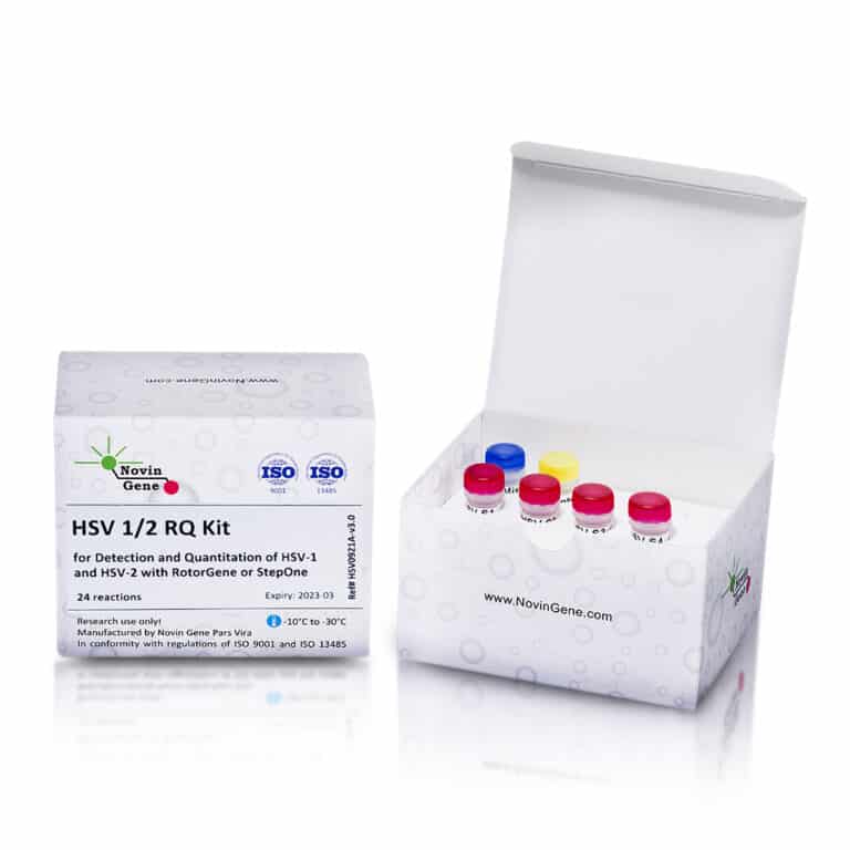 Herpes Detection Kit (CMV/EBV/HSV-1/HSV-2/VZV) 💎 راشا زیست