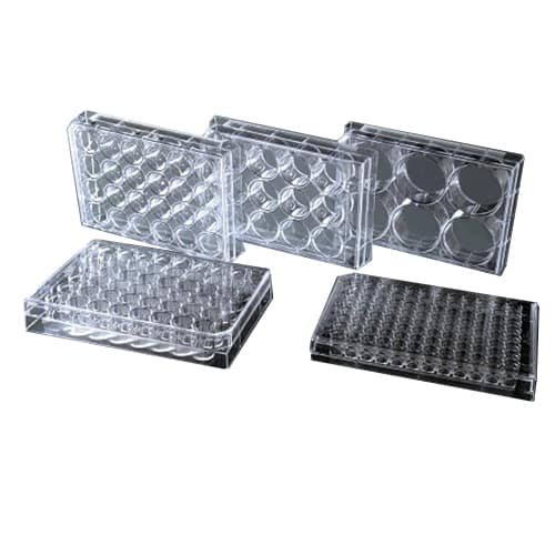 (701011) 96Well Cell Culture Plate, Flat, Non-Treated 💎 راشا زیست