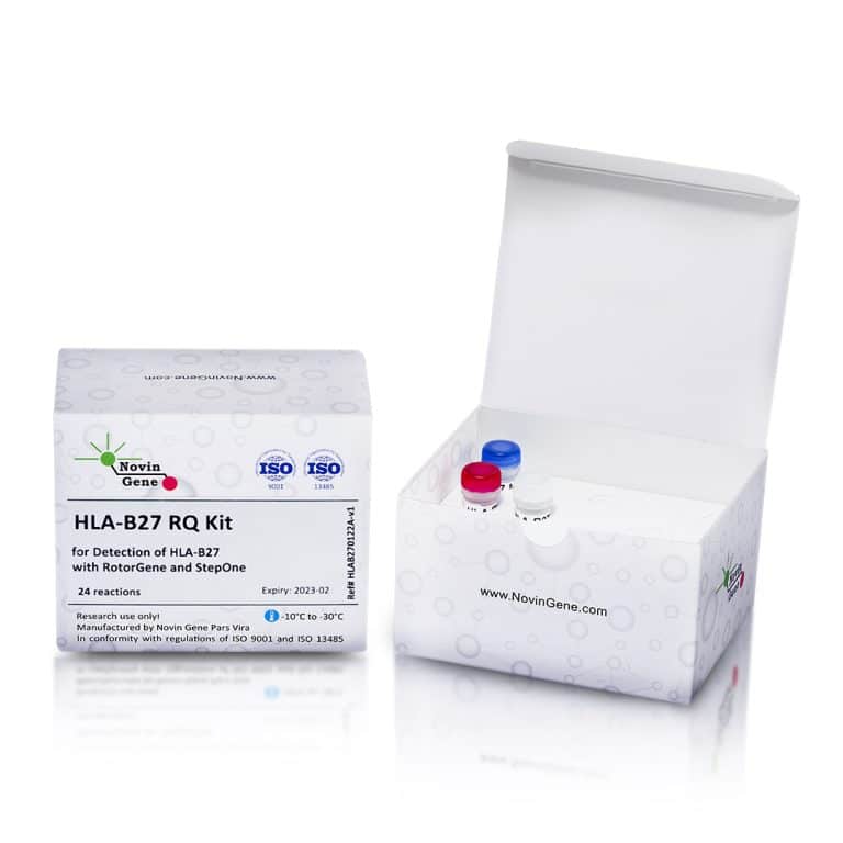 HLA-B27 Detection Kit 💎 راشا زیست