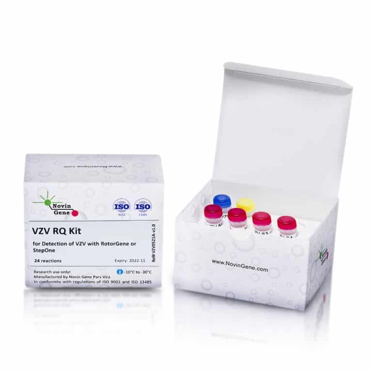 VZV Detection and Quantitation Kit 💎 راشا زیست